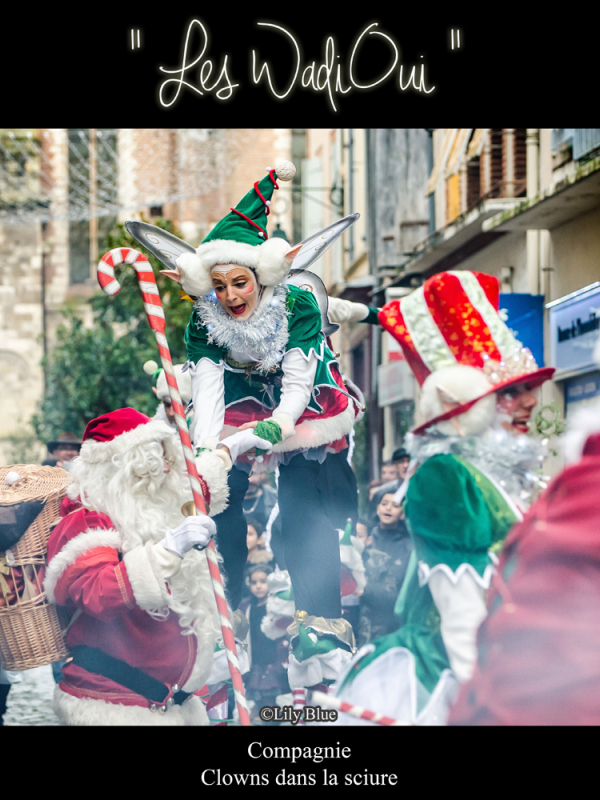 Les Lutins d'or et d'argent : Les Wadioui - Spectacle de rue ...